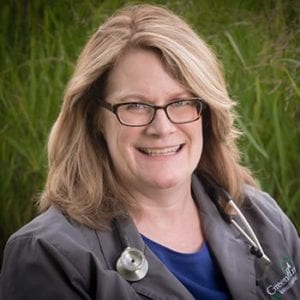 Libertyville, IL 60048 Veterinarians | GreenTree Animal Hospital